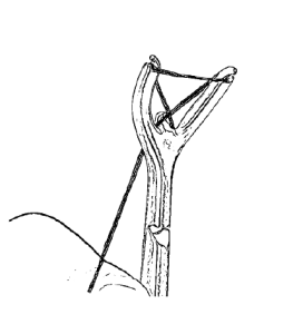 Introducing friendly floss - the reusable flossing tool